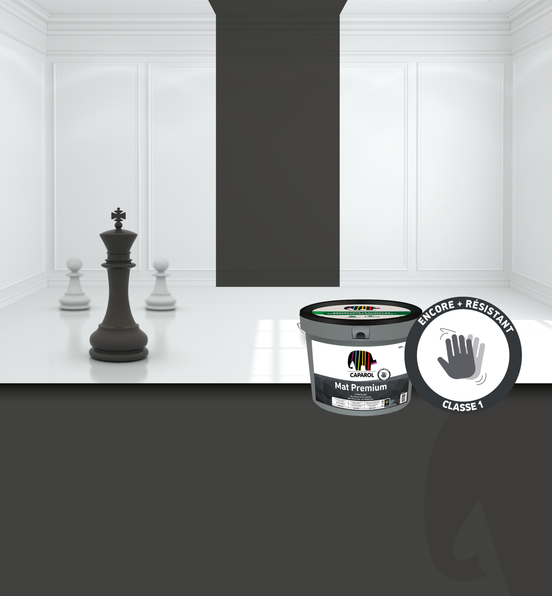 Caparol, Peinture d'expert