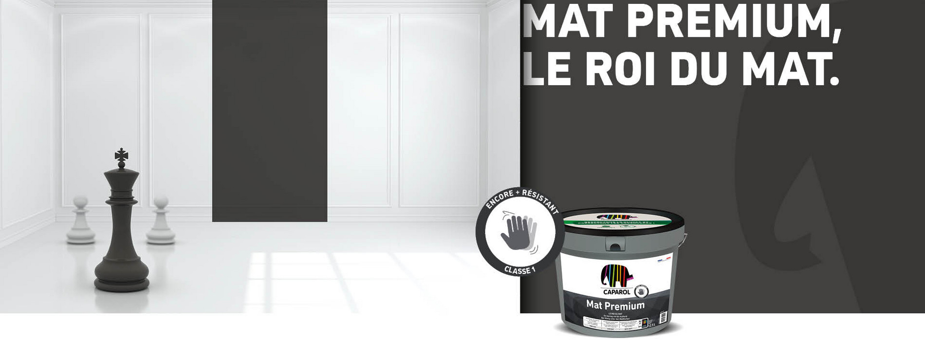 Caparol, Peinture d'expert